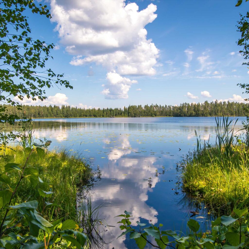 Frontpage - Hacklin Logistics