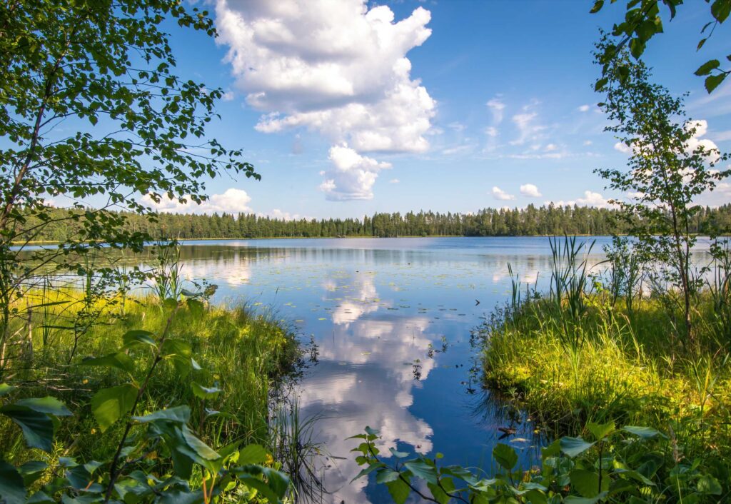 Midsummer Break - Hacklin Logistics